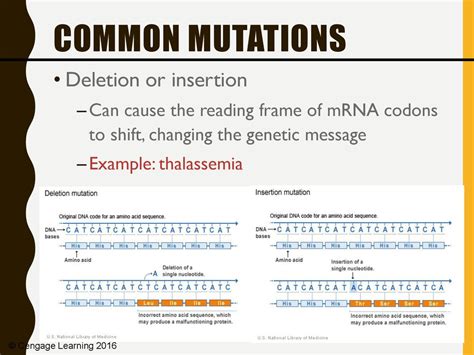 Chapter 9 From Dna To Protein Ppt Download