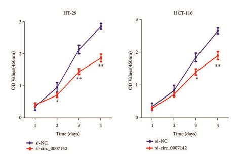 Hsacirc0007142 Knockdown Inhibited Crc Cell Proliferation A Cck8