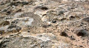 How To Break Up Hard Ground Step By Step DIY Guide