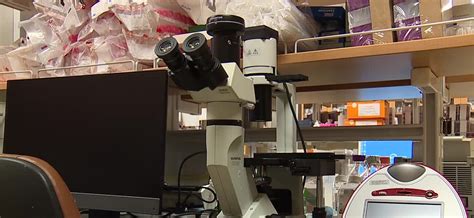 New Studies Find Covid 19 Can Cause Diabetes