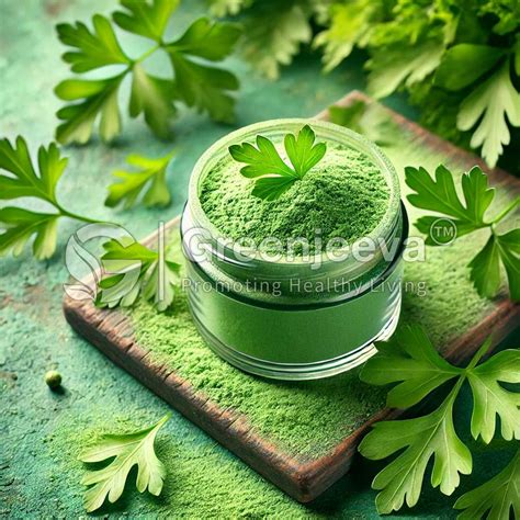 Bulk Organic Parsley Powder Supplier Usa