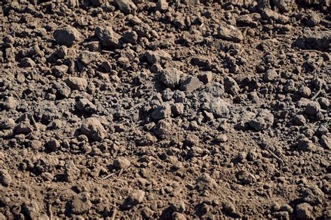 Відновлення ґрунту від токсичного забруднення внаслідок війни можливе але дороговартісне