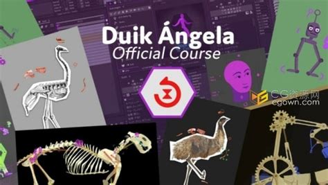 中文版AE脚本 Duik Angela 17 0 1 卡通角色骨骼绑定MG动画工具 CG资源网