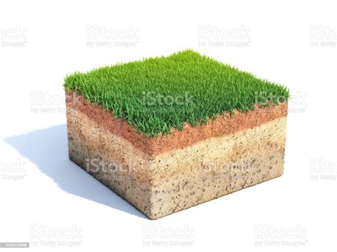 잔디로 덮인 작은 사각형 표면 잔디 연단 상단 보기 잔디 배경 3d 렌더링 앞마당 또는 뒷마당에 대한 스톡 사진 및 기타 이미지