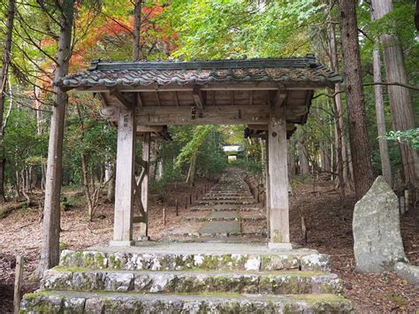 色づき始めの常照皇寺の紅葉 京都旅屋