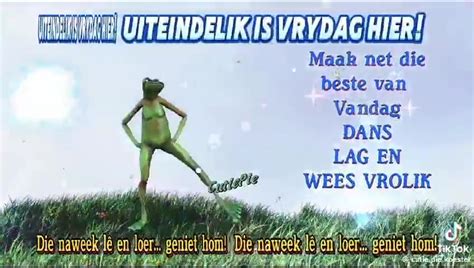 Hop Hop Spinnekop Het Die Gogga Al Gebyt Hophopspinnekop