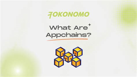 What Are Appchains A Comprehensive Guide Tokonomo Academy