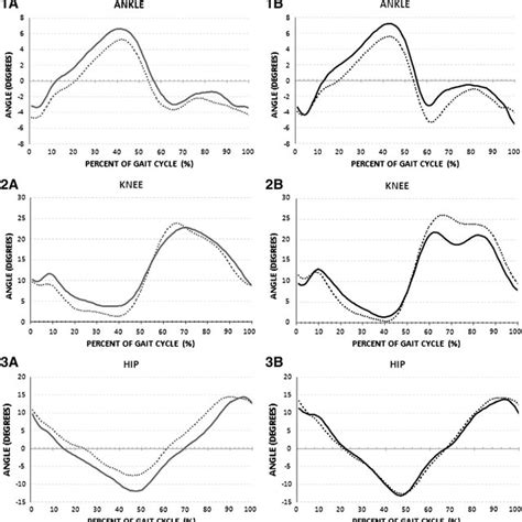 Joint Angle Profiles Degrees Across The Gait Cycle For The 1 Ankle