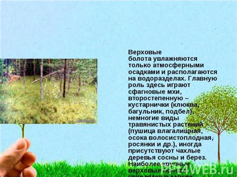 Растения калужской области фото с названиями