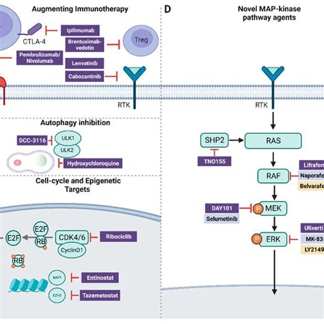 A Overcoming Resistance To Immunotherapy Via Inhibition Of Vegf