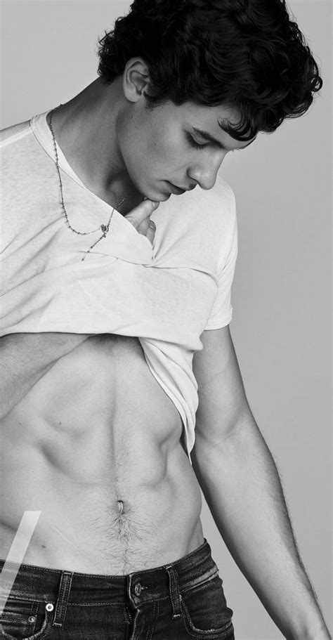 Shawn Mendes Artofit