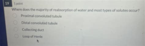 Solved 19 1 PointWhere Does The Majority Of Reabsorption Of Chegg