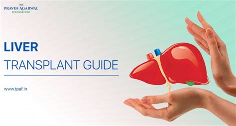 A Complete Guide To Liver Transplant And Its Procedure Tpaf