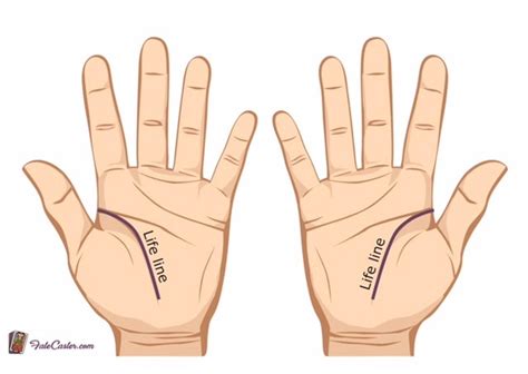 Palm Reading Guide How To Read Palms And Understand Your Personality