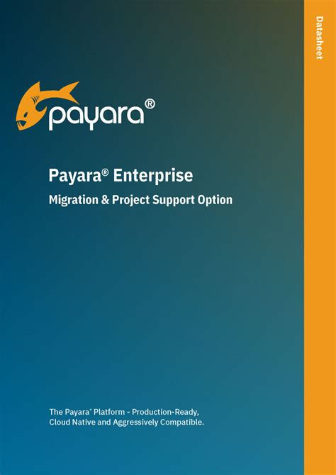 Migration Guide Payara Services Ltd
