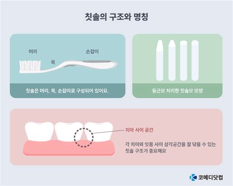 플라그 제대로 제거하려면 어떤 칫솔 써야 할까