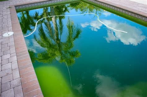What Causes Cloudy Swimming Pools And How To Clear Them Guardian
