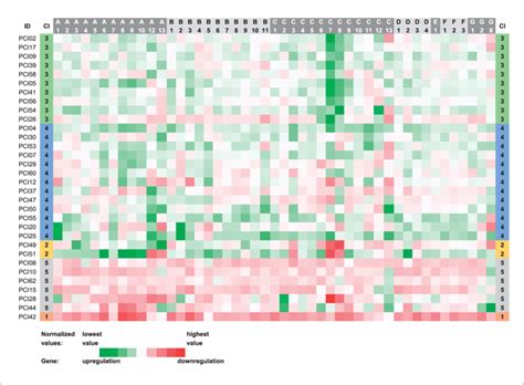 Heat Map Visualization Of The Tree Clustering Wards Method And