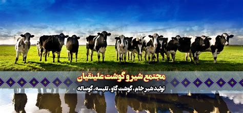 صفحه اصلی مجتمع شیر و گوشت علینقیان