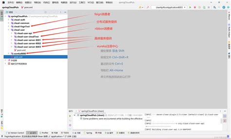 springcloud的ribbon和feign springcloud fegin和ribbon csdn博客