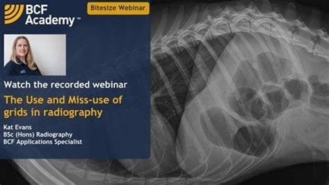 Webinar Use Misuse Of Grids In Radiography IMV Imaging