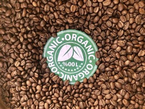 Perú Es El Primer Productor Y Exportador Mundial De Café Orgánico
