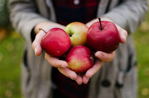 Cómo tomar el vinagre de manzana para adelgazar
