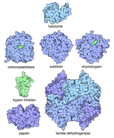Pdb 101 Applications Center For Computational Structural Biology