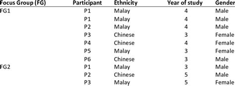 Focus Group Interviews Participants Information Download Scientific