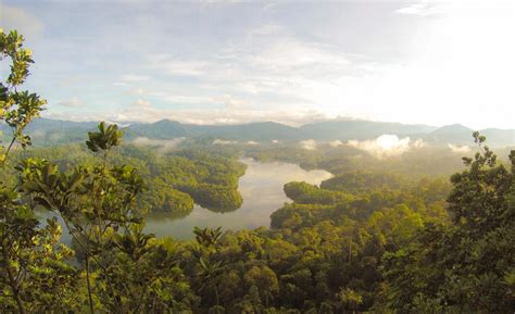 Rainforest River Image Eurekalert Science News Releases