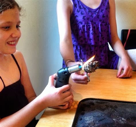 An Ordinary Life Science Flame Test