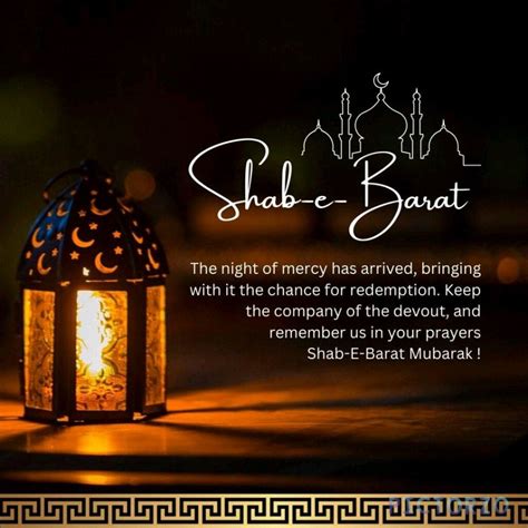 Shariya Siddiqi On Linkedin Connections Muslimummah