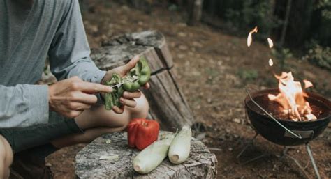 How To Build This Tiny Cabin That Will Pay For Itself Hipcamp Journal
