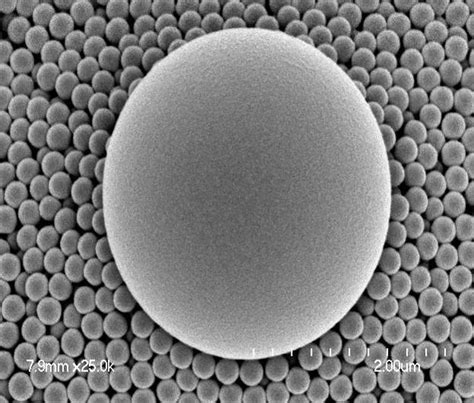 Magnetic Bead Based Reagent Dr0300ca Vdo Biotech For Lateral Flow