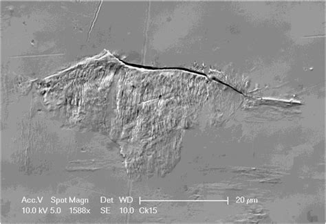Non Propagating Fatigue Crack Visible On The Surface Of A 0 15 C Download Scientific Diagram