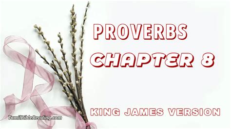 Proverbs Chapter 8 King James Version Bible Reading