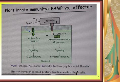 植物免疫学 Ppt