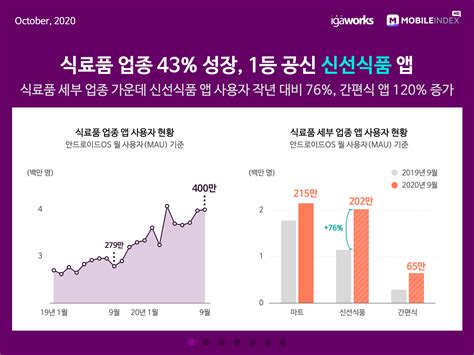 식료품 업종 앱 사용자 현황