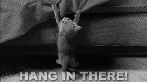 Hang In There Kitten 