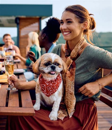 Como Beach Club Bali Beach Club On Canggu Beach