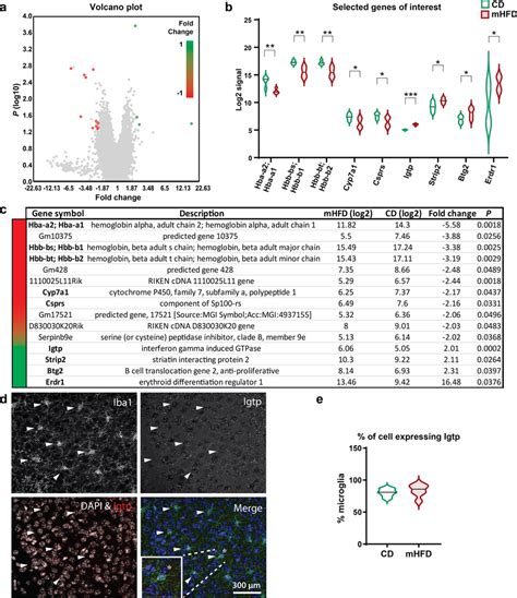 Rna Microarray Reveals Differential Expression Of 15 Genes In The