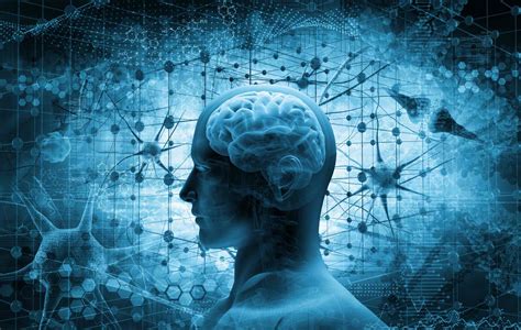 26 Facts About Intelligence Ohmyfacts