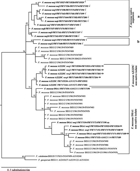 Bayesian Consensus Tree Inferred From Nuclear Ribosomal Rdna Sequences