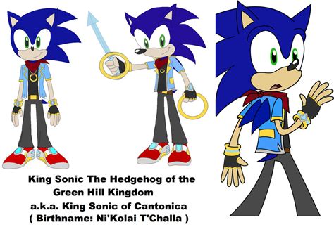 King Sonic Of Cantonica By Airsharksquad On Deviantart