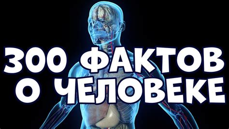 300 ОЧЕНЬ ИНТЕРЕСНЫХ ФАКТОВ О ЧЕЛОВЕКЕ - YouTube