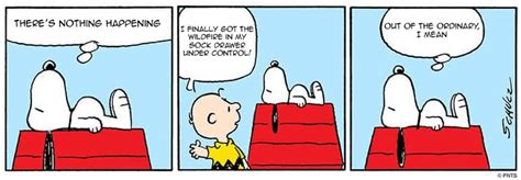 Guys My Grandson Showed Me This Funny Peanuts Comic Ralzheimersgroup