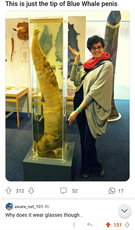 Cursed Teletubbies R Cursedcomments