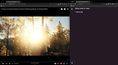 非常希望添加以網頁全屏模式播放的功能（含auto Toggle開關） · Issue 274 · Polywockglobalspeed