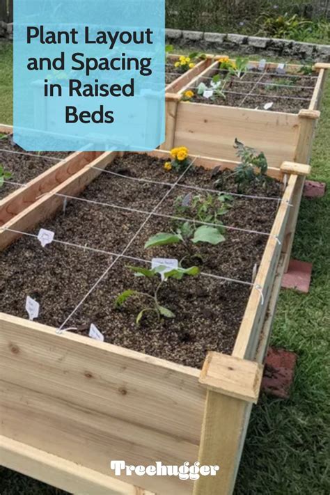 Plant Layout And Spacing In Raised Beds Plants Planting Layout