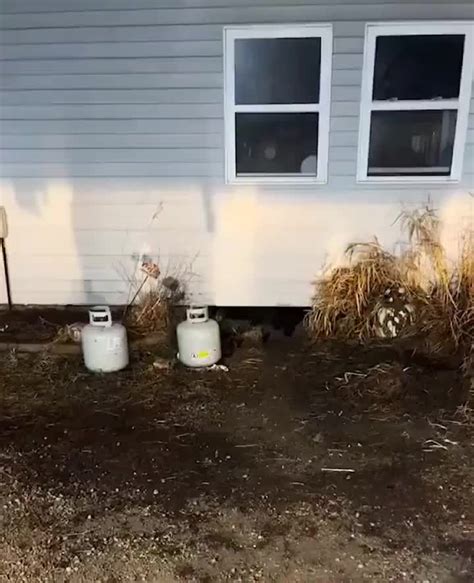 Oh Album On Imgur